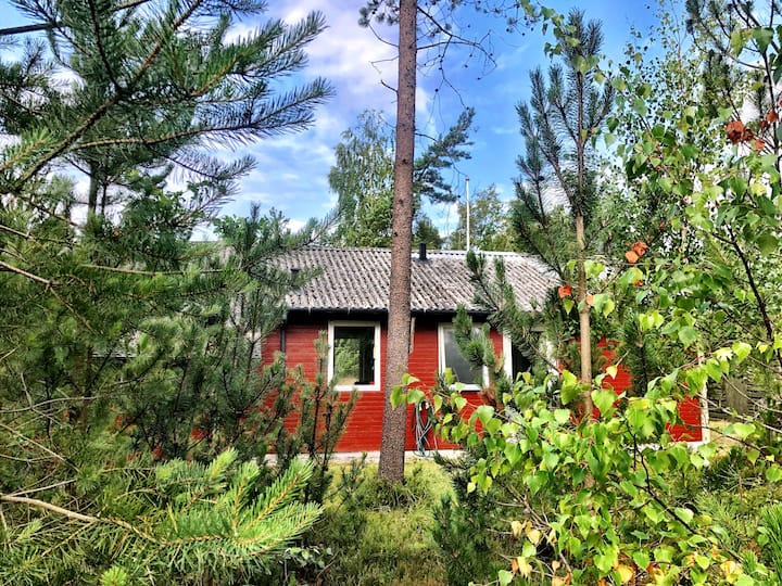 Hyggeligt Sommerhus I Skov Ved Ø. Hurup - Dinamarca