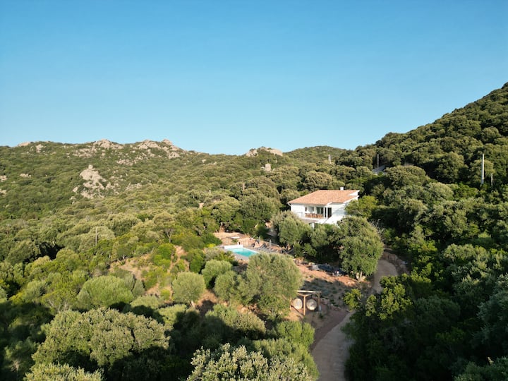 Très Belle Villa Avec Piscine Chauffée - Figari