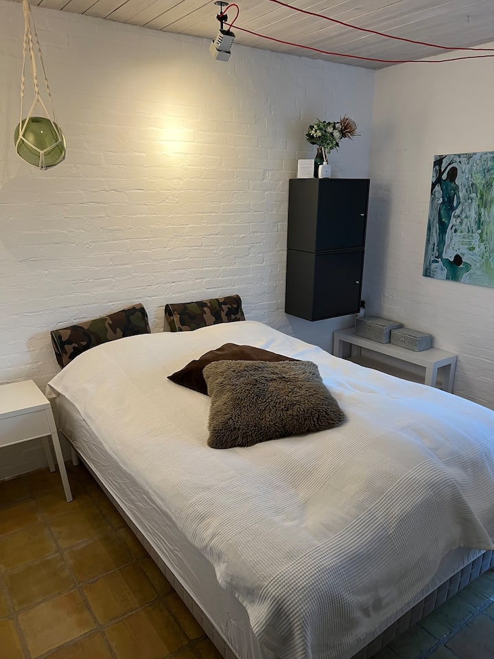 Ribeye Rooms - Odense
