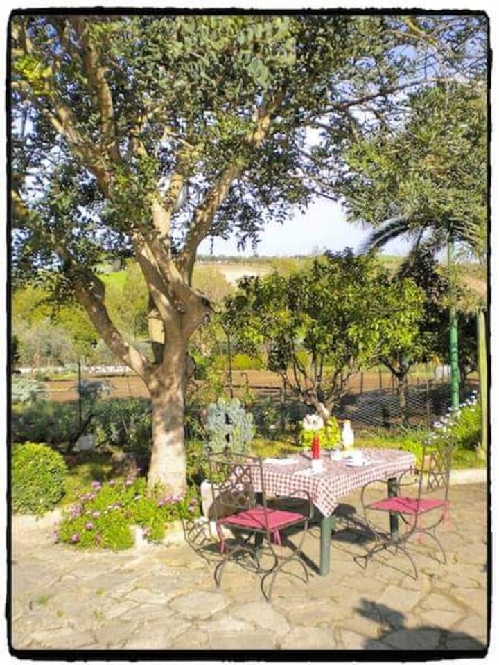 Agradable Villa Con Piscina - Prado del Rey