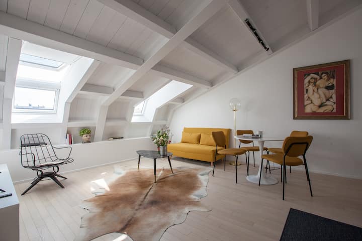 Newly Renovated Bright Penthouse - Milan