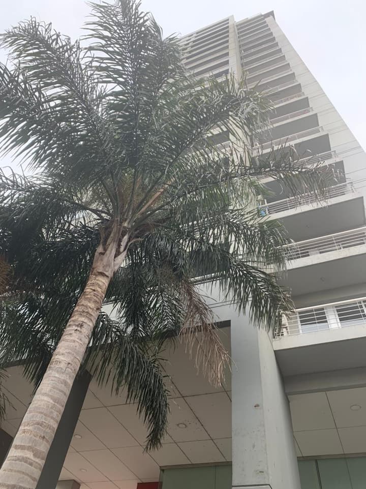 Torre En Almagro Con Pileta Y Gym - Buenos Aires
