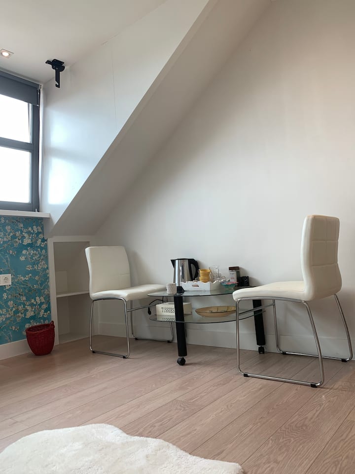 Sfeervolle B&b Zolderkamer Met Whirlpool Bad - Kampen