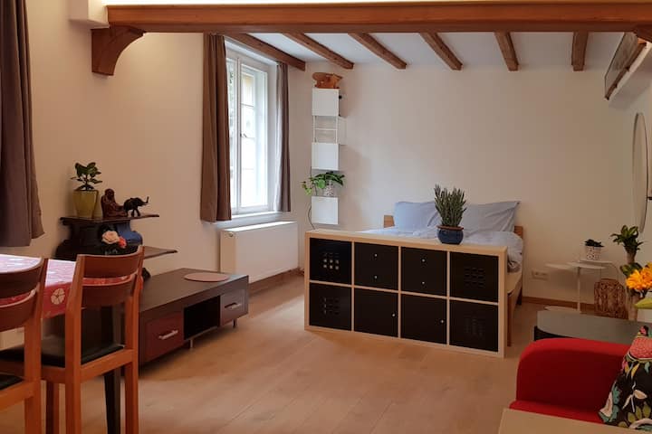 Schöne Wohnung Im Grünen - Dresden