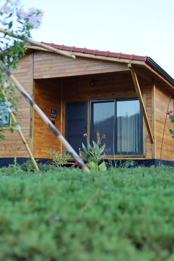 ÇıRalı'da 4 Kişilik Lüks Aile Bungalovu - Çıralı