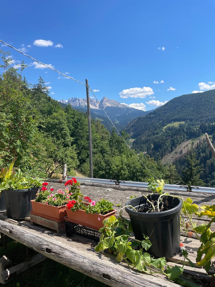 Kleine Offene Eigentumswohnung - Nova Levante