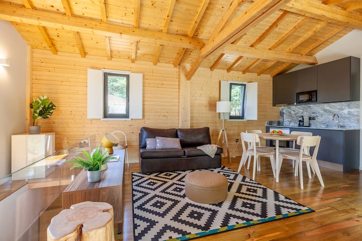 Villa W/ Pool, A/c And Big Garden - Fafe