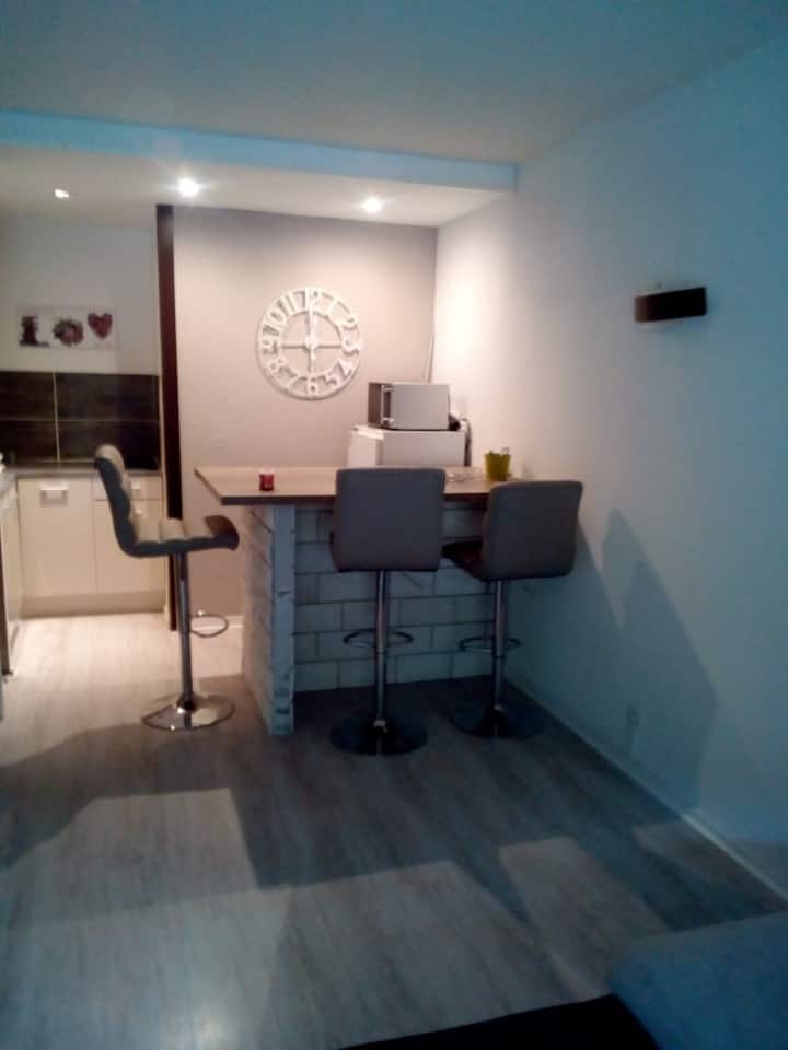 Appartement Aux Pieds Des Pistes - Villard-de-Lans