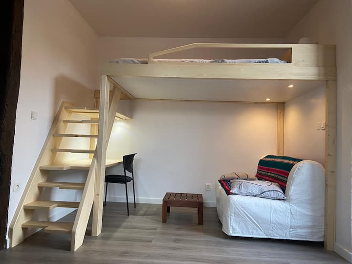 Studio En Rez De Jardin - Argonay