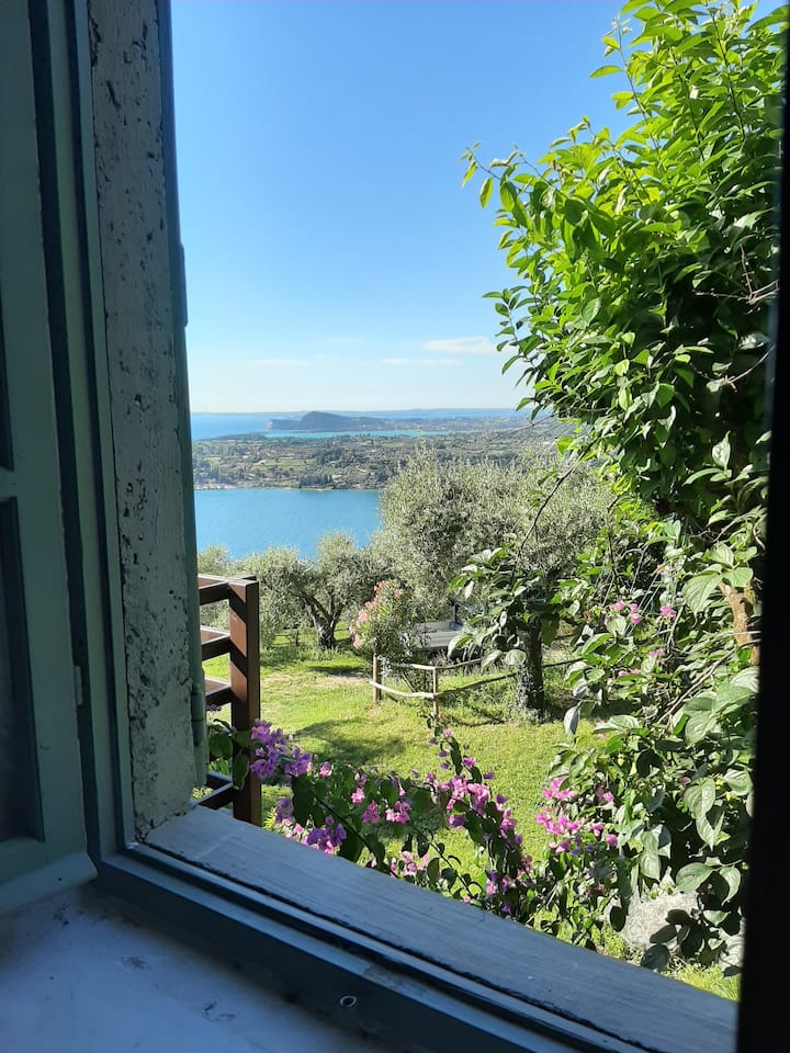 Farm Conte Brunello - Sun - Lac de Garde