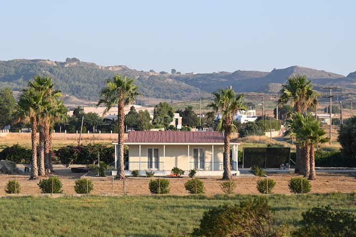 Beachlife: The Bungalow - Kos