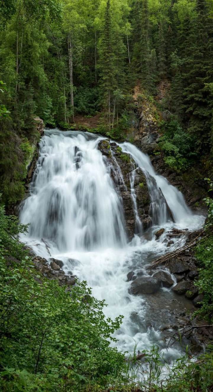 Secluded South Fork Creek Camping Site - Anchorage, AK
