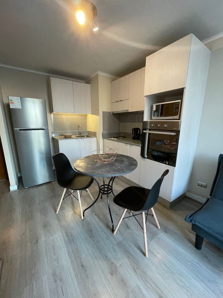 Departamento Santiago Céntrico Y Acogedor - Santiago (Chile)