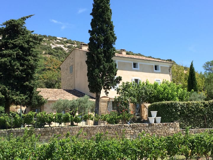 Mas Du Payard, Met Zwembad In Beaumes De Venise - Beaumes-de-Venise