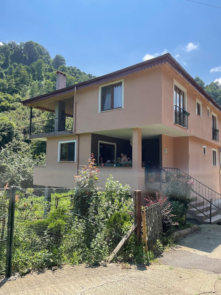 Artvin Hopa’da şEhir Merkezine Araçla 6 Dk Köy Evi - Hopa