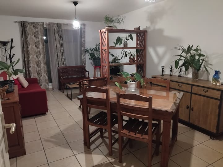 Apprt Sidonie T2 - Saint-Pierre