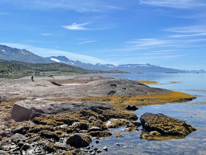 Charming Cabin With Beach And Stunning View - Narvik