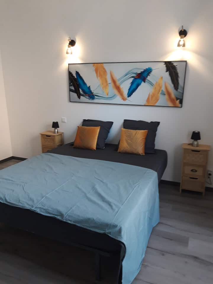 Curial Insolite A2 : Superbe Appartement De 40 M2 - Chambéry