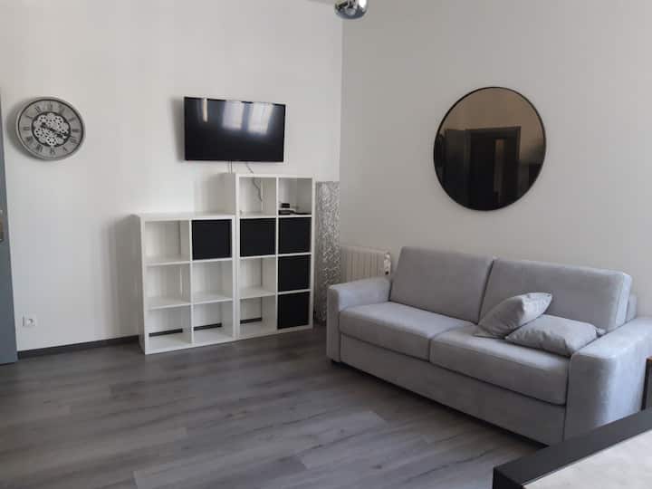 Curial Insolite A2 : Superbe Appartement De 40 M2 - Chambéry