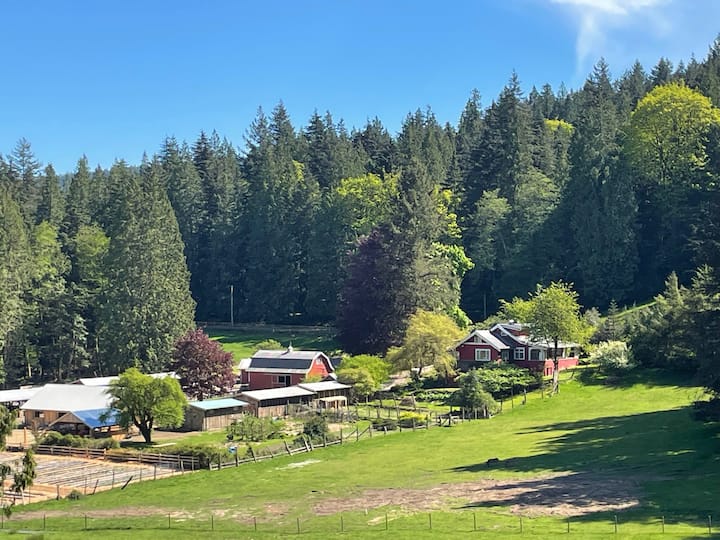 Welcome To Endswell Farm - Horseshoe Bay
