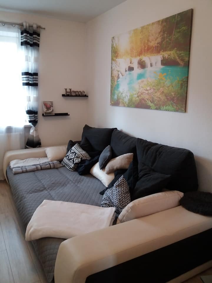 Stadtwohnung Am Westring - Magdeburg