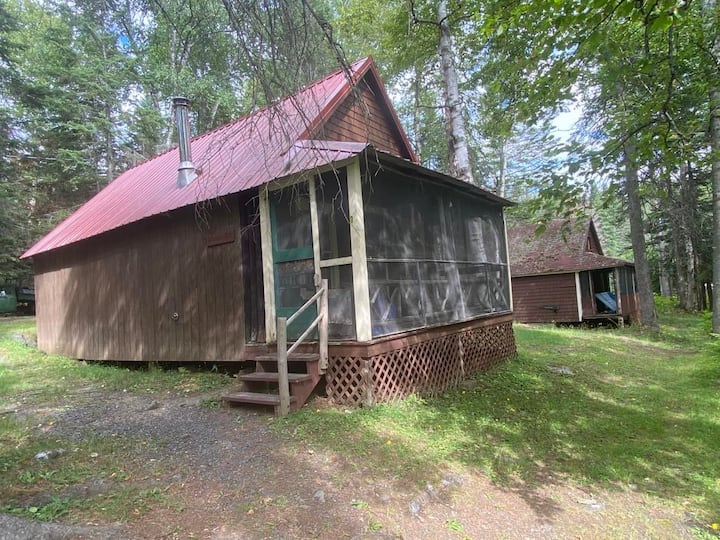 Mountain Ash At North Camps - Rangeley, ME