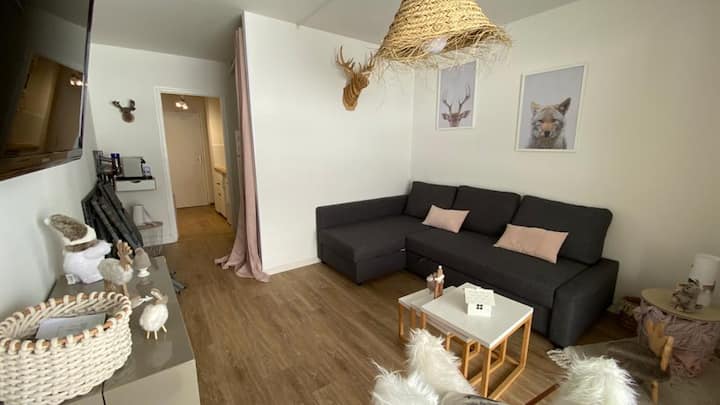 Appartement " Le Superd" - Super Dévoluy