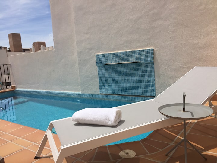 2 Bedroom Penthouse With Privat Pool In Estepona - エステポナ