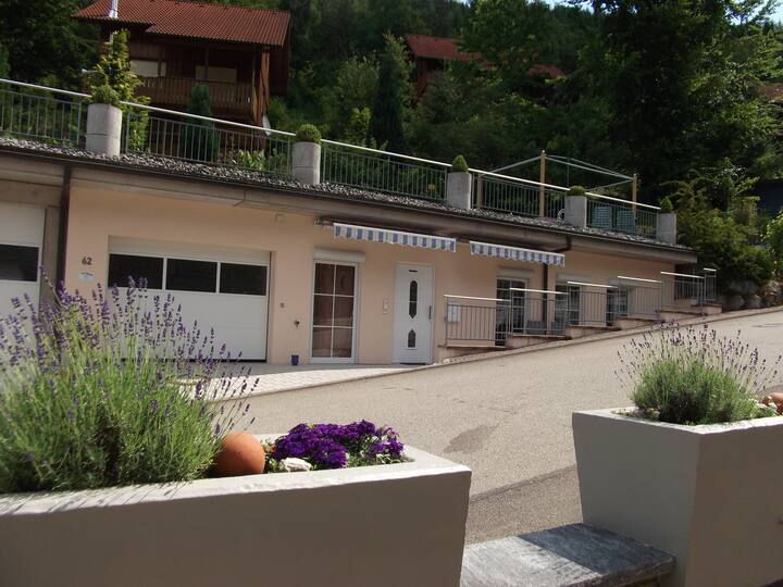 Behindertengerechtes Ferienhaus Brigitte - Gutach (Schwarzwaldbahn)
