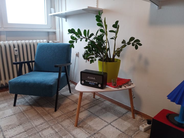 Cozy Big Room With A Great View! - Zagreb