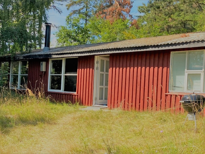 Hyggeligt Gammelt Sommerhus Med Sjæl - Ebeltoft