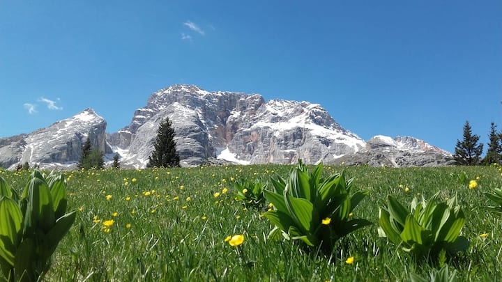 Holiday Flat In The Dolomites - Pustertal - Olang