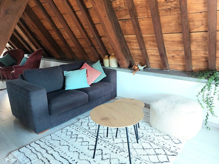 Bel Appartement Style Loft Au Centre De Liège - Chaudfontaine