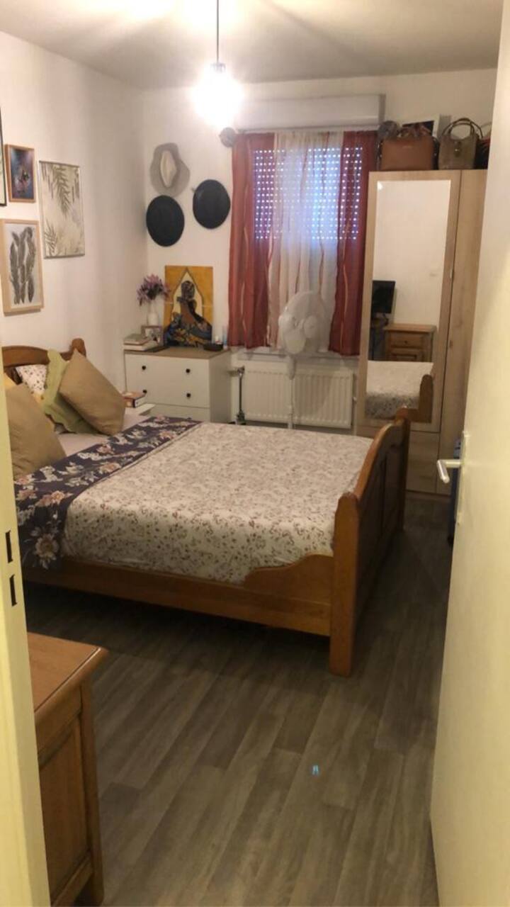 Charmant T3 Proche De Toutes Les Commodités. - Lyon