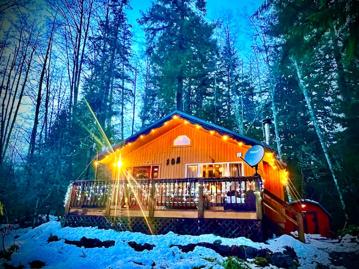 Cabin With View Hottub Sauna 5mi Rainier Np Wi-fi - Ashford, WA