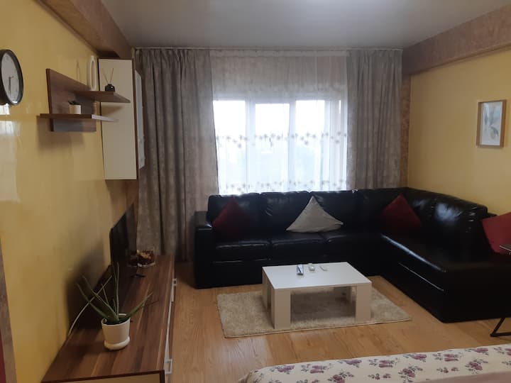 Apartament In Centrul Iasului (Lapusneanu) - Iași