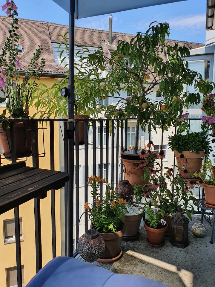 Gemütliche, Zentrale Wohnung Mit Zwei Balkonen - Opfikon