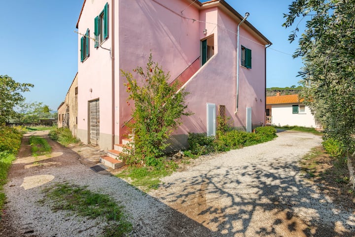 Casale In Mezzo Ai Vigneti. Elba - Elba