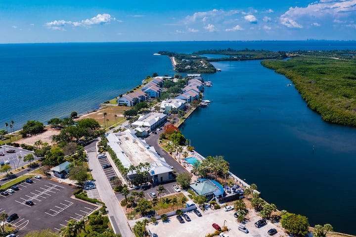 Tampa Bay, Beach Condo, Pools, Jacuzzi, Dolphins - Apollo Beach, FL