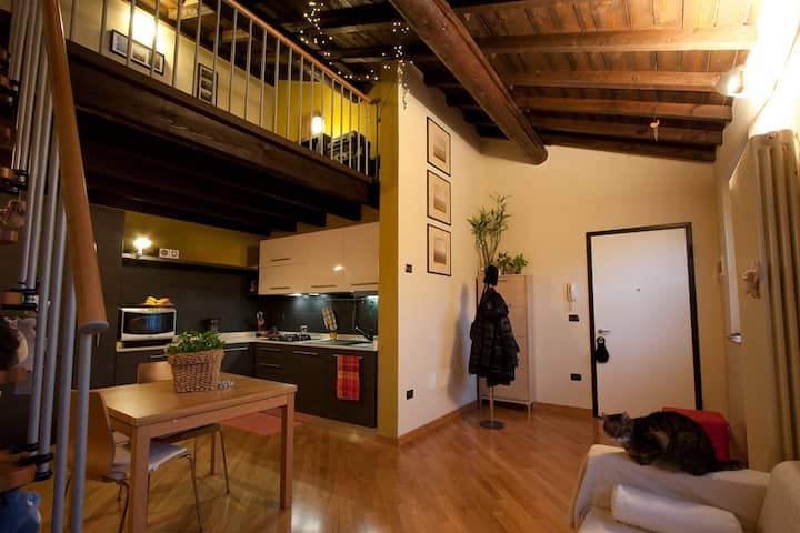 Loft Incantevole Parma - Parma