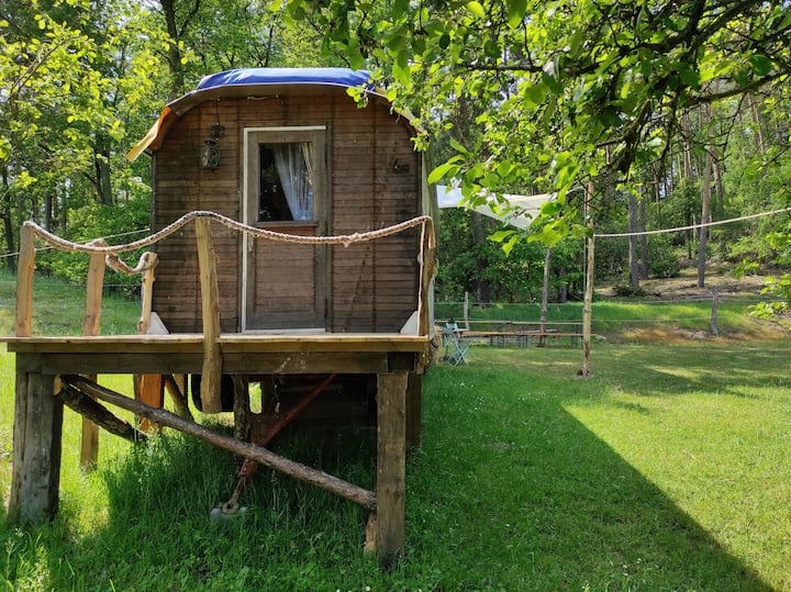 Antiker Zirkuswagen "Gipsy Soul" - Bleckede