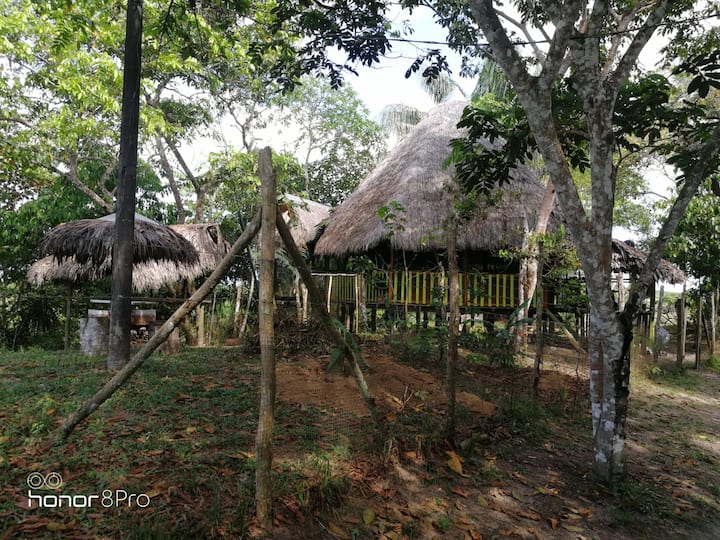 Lodge En Iquitos - Iquitos