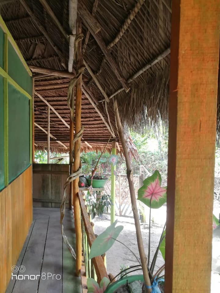 Lodge En Iquitos - Iquitos