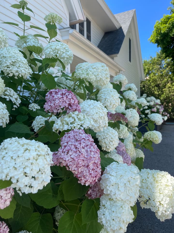 Boutique Studio In The 🤍 Of Charlevoix. - Charlevoix, MI