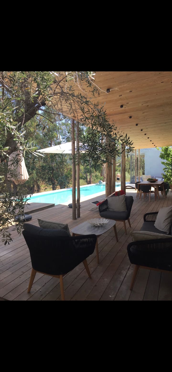 Magnifique Villa Avec Piscine Dans Une Oliveraie 2 - Porto-Vecchio