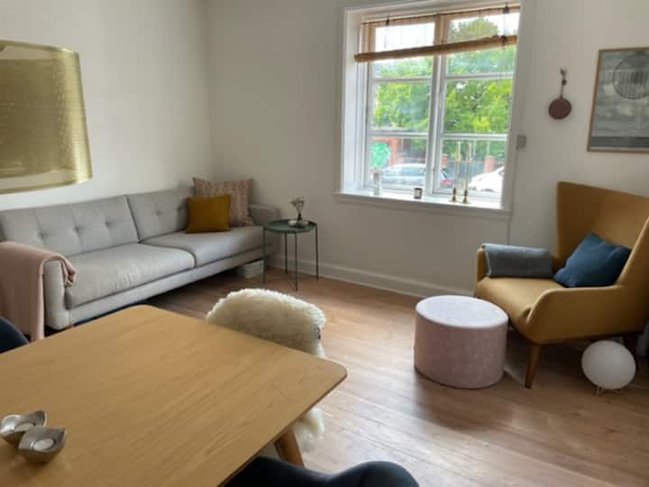 Lovely 1-bedroom Flat, Easy Access To Copenhagen - Copenhaguen