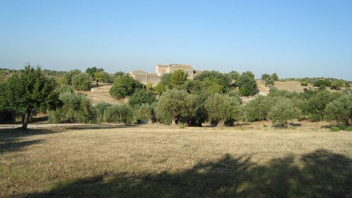 Noto Collina Panoramico Appartamento In Fattoria - Noto