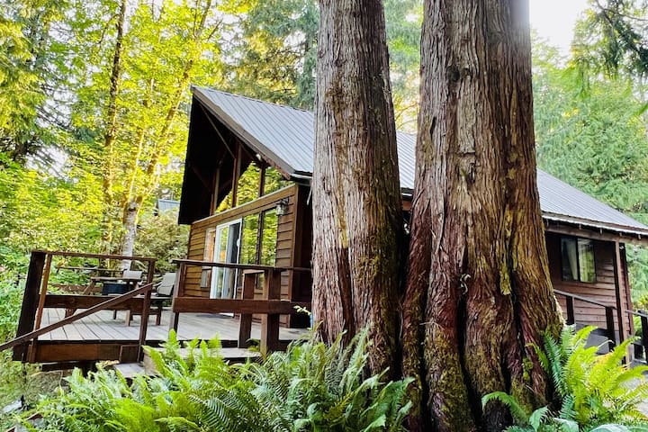 Cascade Pass Retreat - Cyclone Lake, WA