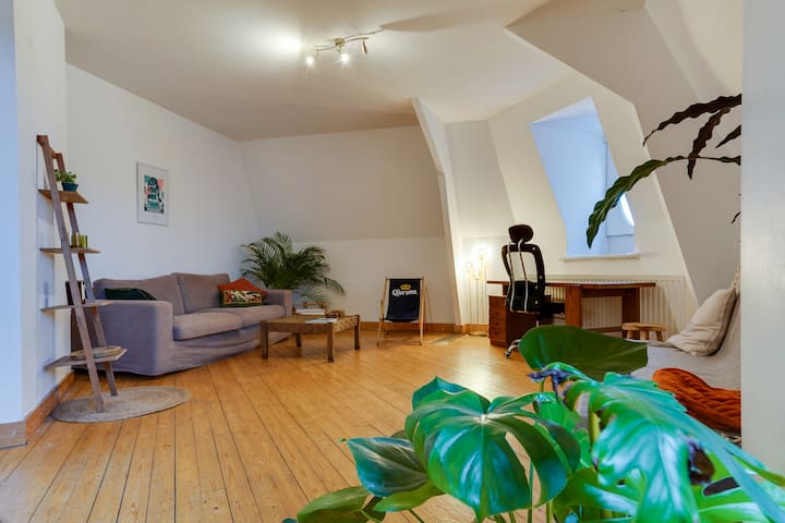 Ruim Appartement In Hartje Gent - Gand