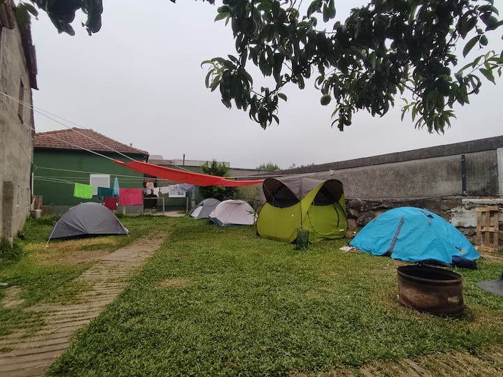Agra Pet Campsite V (No Tent Included) - Moreira
